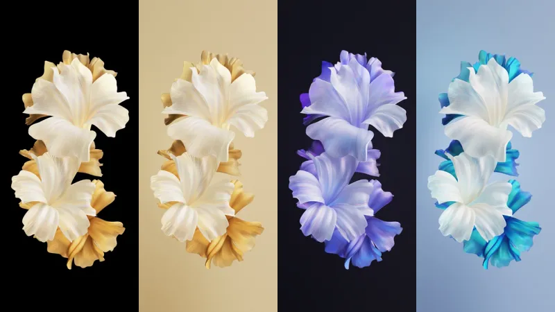 Infinix Zero Mini Wallpapers and Backgrounds